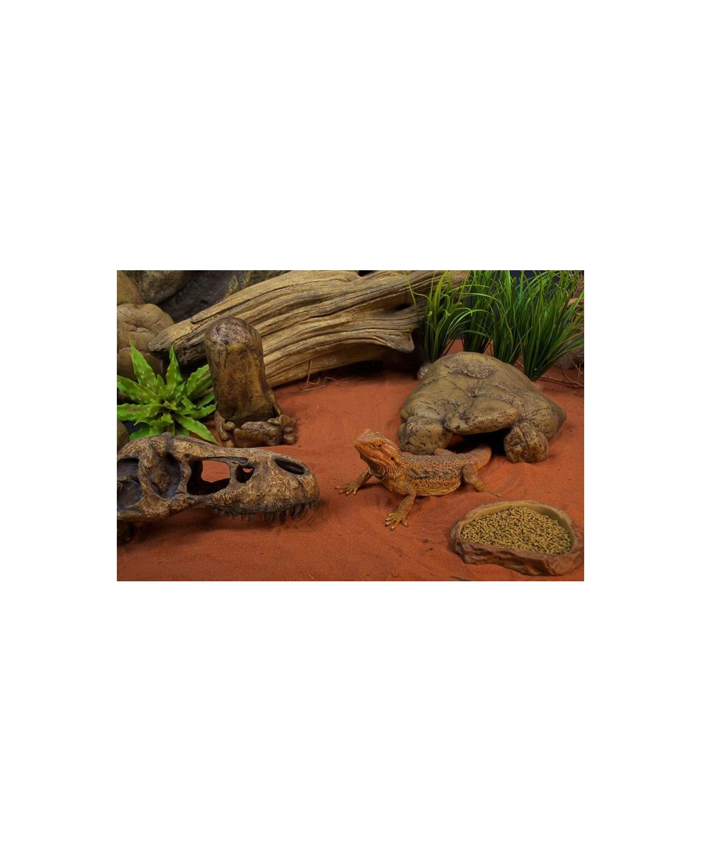 Peixe Oscar Bronze - Comprar Peixes Online